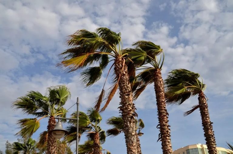 No weather warnings, but strong winds: Aemet updates the forecast for ...